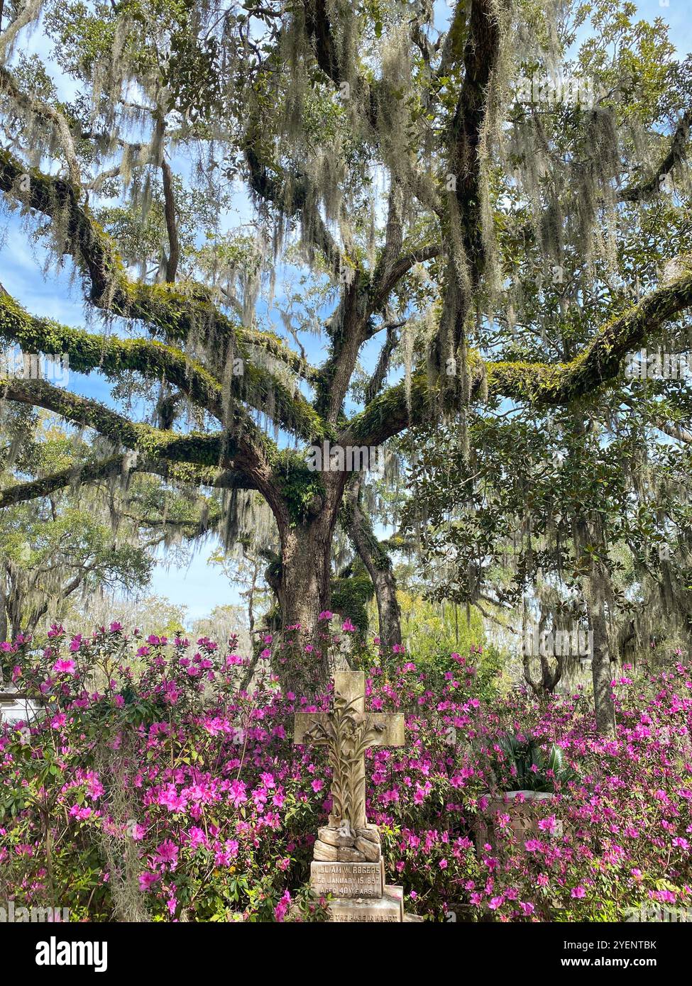 Bonaventure Cemetery, Savannah, Georgia, USA Stock Photo - Alamy