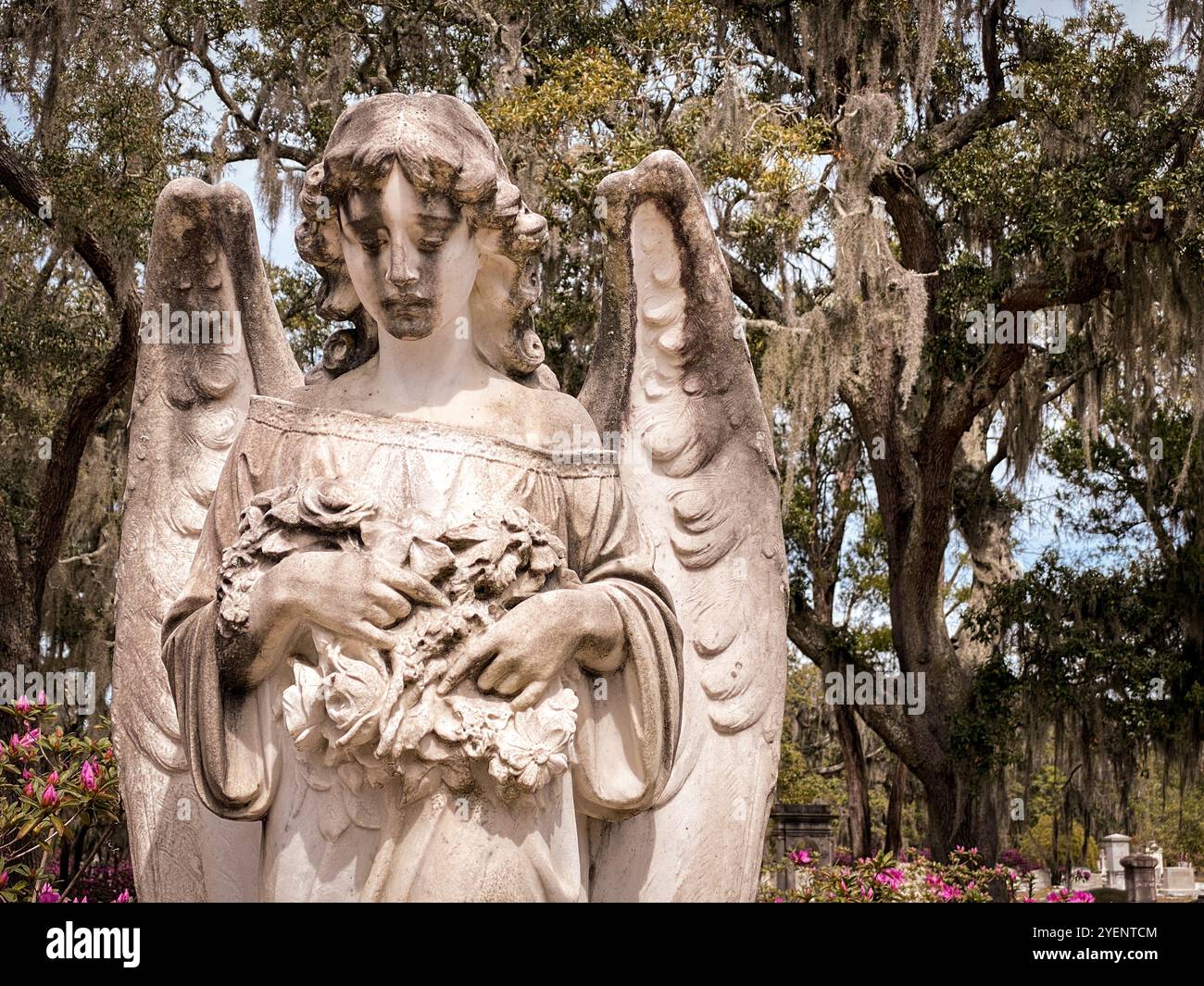 Bonaventure Cemetery, Savannah, Georgia, USA Stock Photo - Alamy