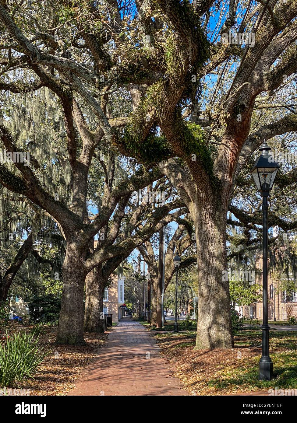 Georgia taylor hi-res stock photography and images - Alamy