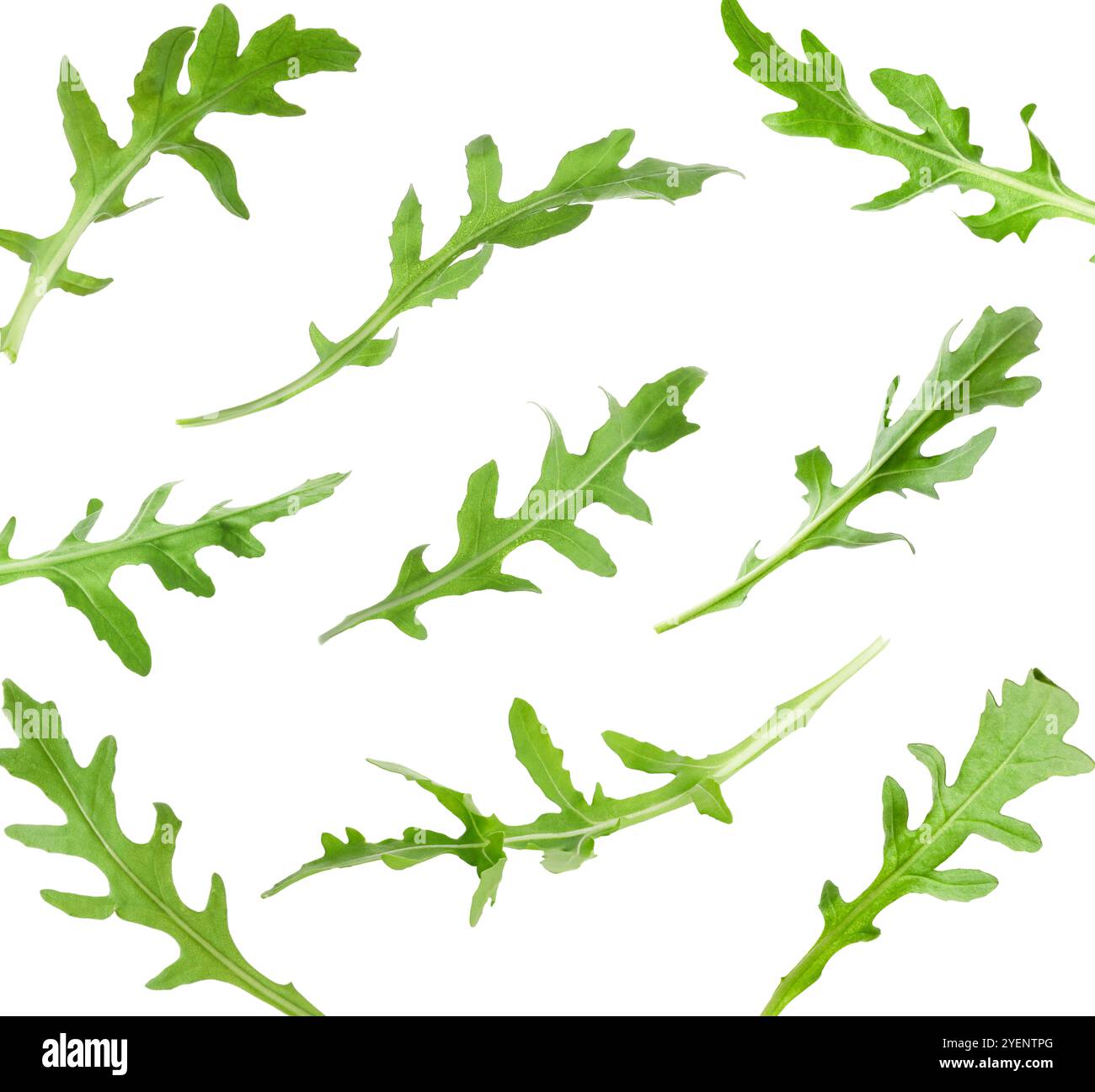 Fresh green arugula in air on white background Stock Photo - Alamy