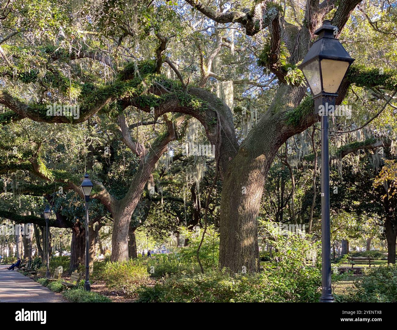Forsyth Park, Savannah, Georgia, USA Stock Photo - Alamy