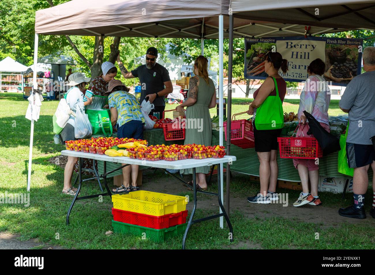 Usa berry farm hi-res stock photography and images - Alamy