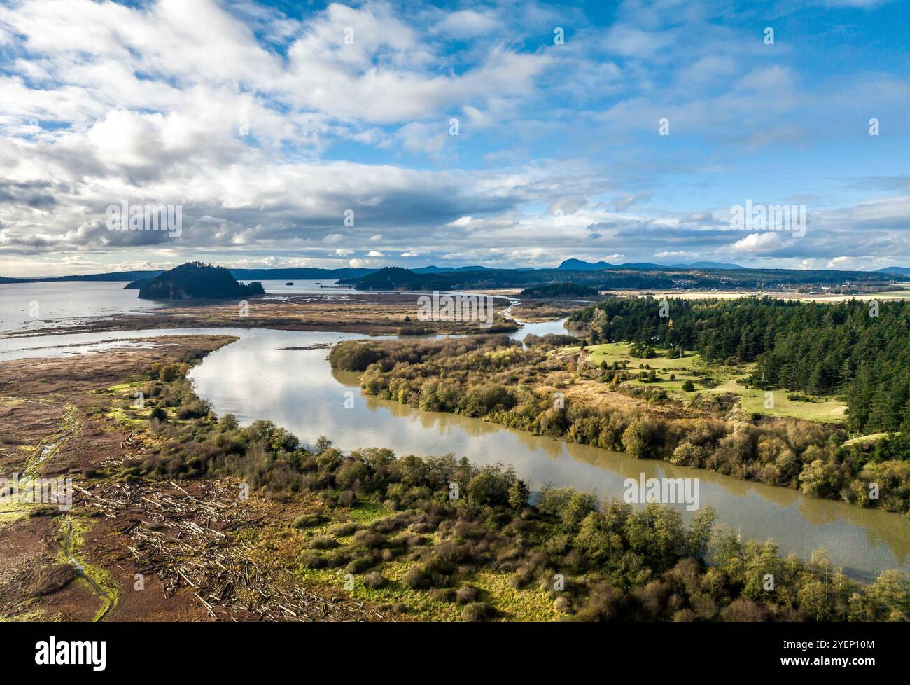 Aerial view of tidal flats at the mouth of the Skagit River, near La ...