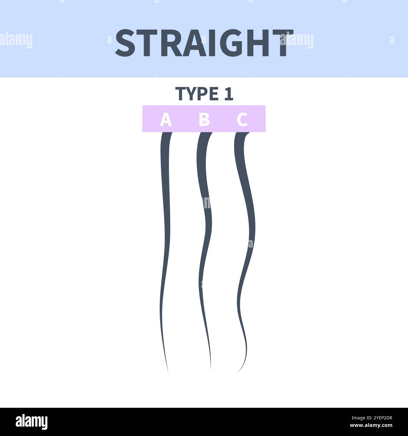 Straight hair type chart of strands growth pattern Stock Vector Image ...