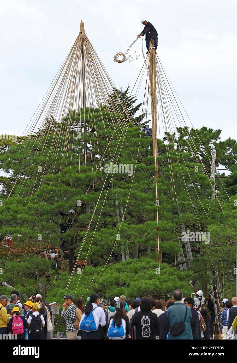 Visitors admire and appreciate Yukitsuri, snow handing trees at ...