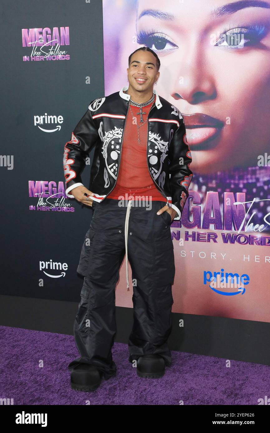 October 30, 2024, Los Angeles, California, USA: Laron Hines at the Megan Thee Stallion: In Her ...