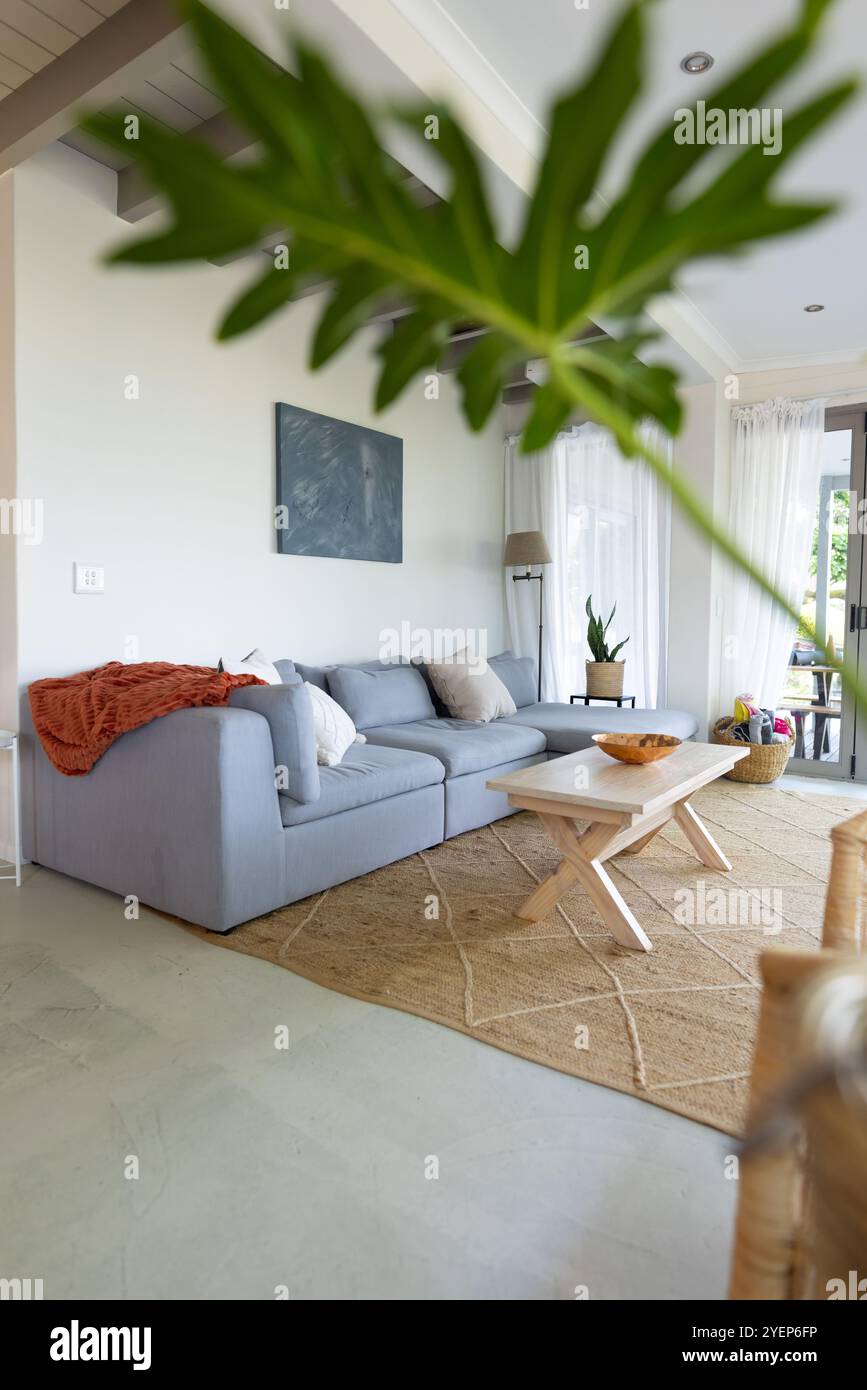 Cozy living room with modern decor and comfortable gray sofa, inviting ...