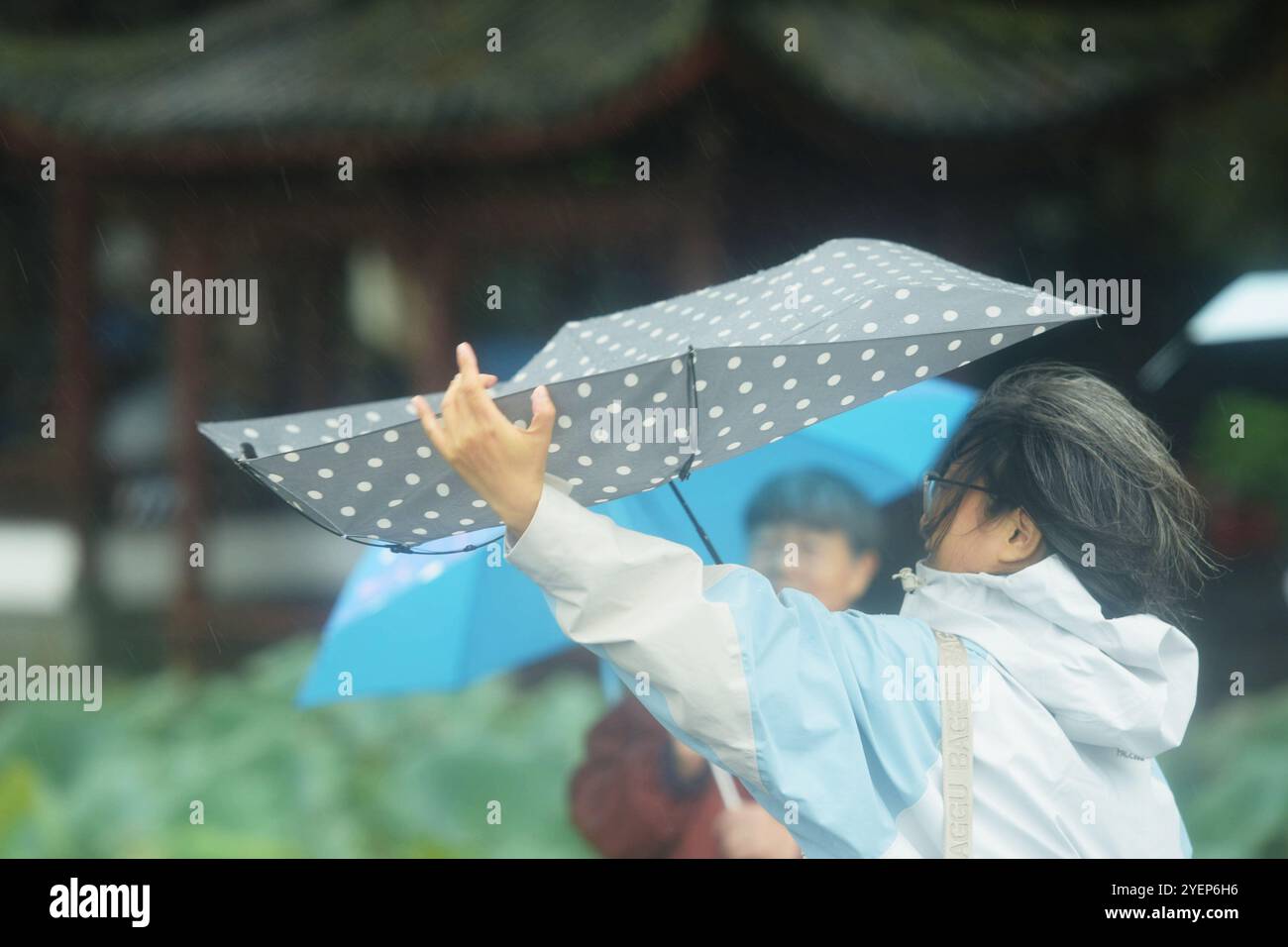 HANGZHOU, CHINA - NOVEMBER 1, 2024 - Tourists brave strong winds and ...