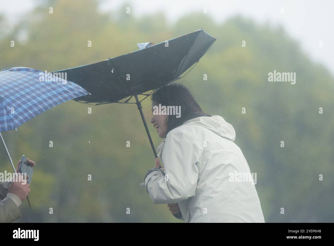 HANGZHOU, CHINA - NOVEMBER 1, 2024 - A tourist braves strong winds and ...