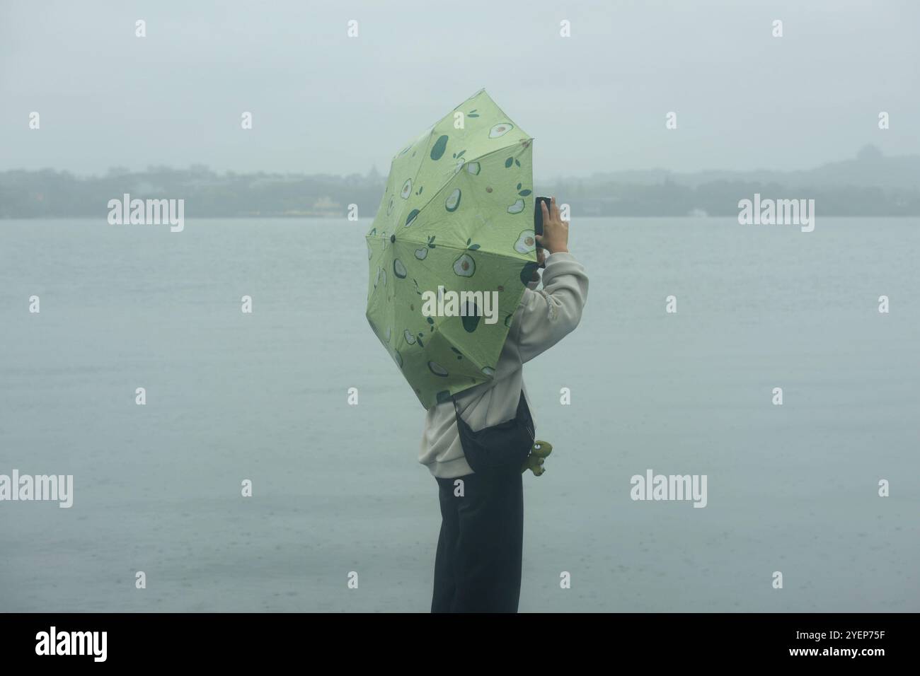 Hangzhou, China. 01st Nov, 2024. HANGZHOU, CHINA - NOVEMBER 1, 2024 - A ...