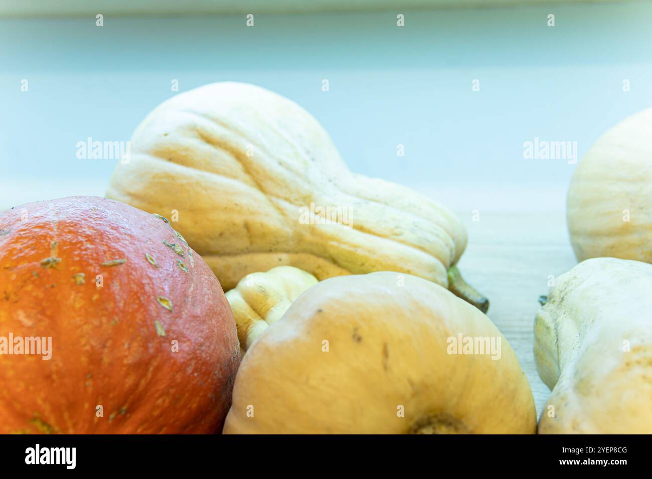 october farmers fresh harvest market season white produce background ...
