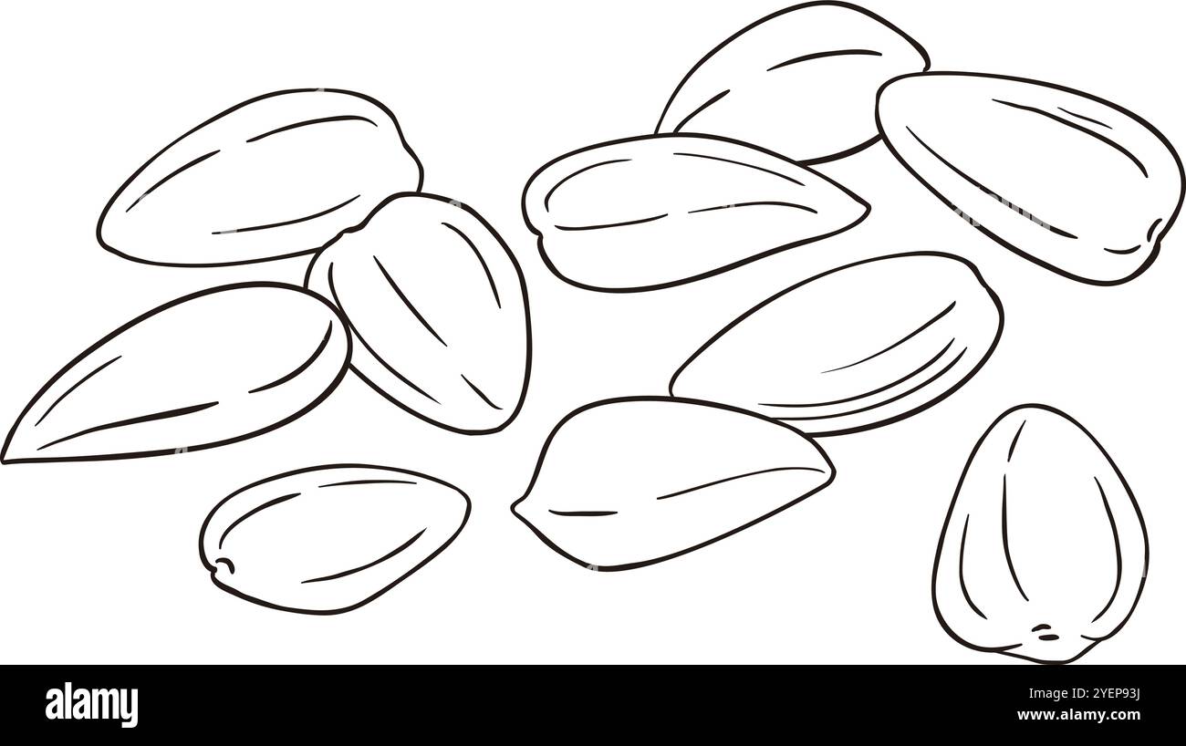Sunflower Seeds Isolated Outline Illustration Stock Vector Image & Art - Alamy