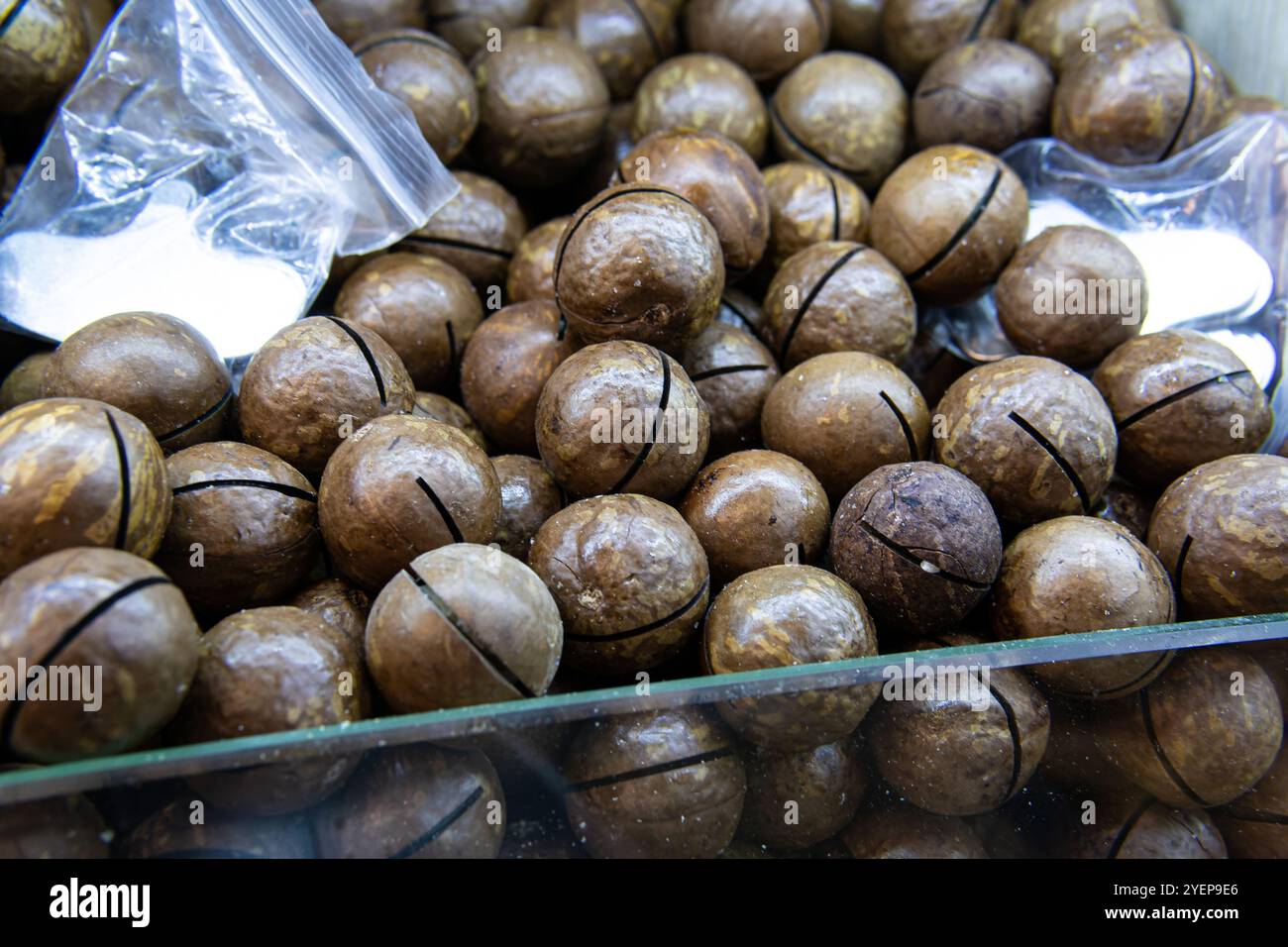 seed food no freshness snack people ingredient nut cooking - nutshell ...
