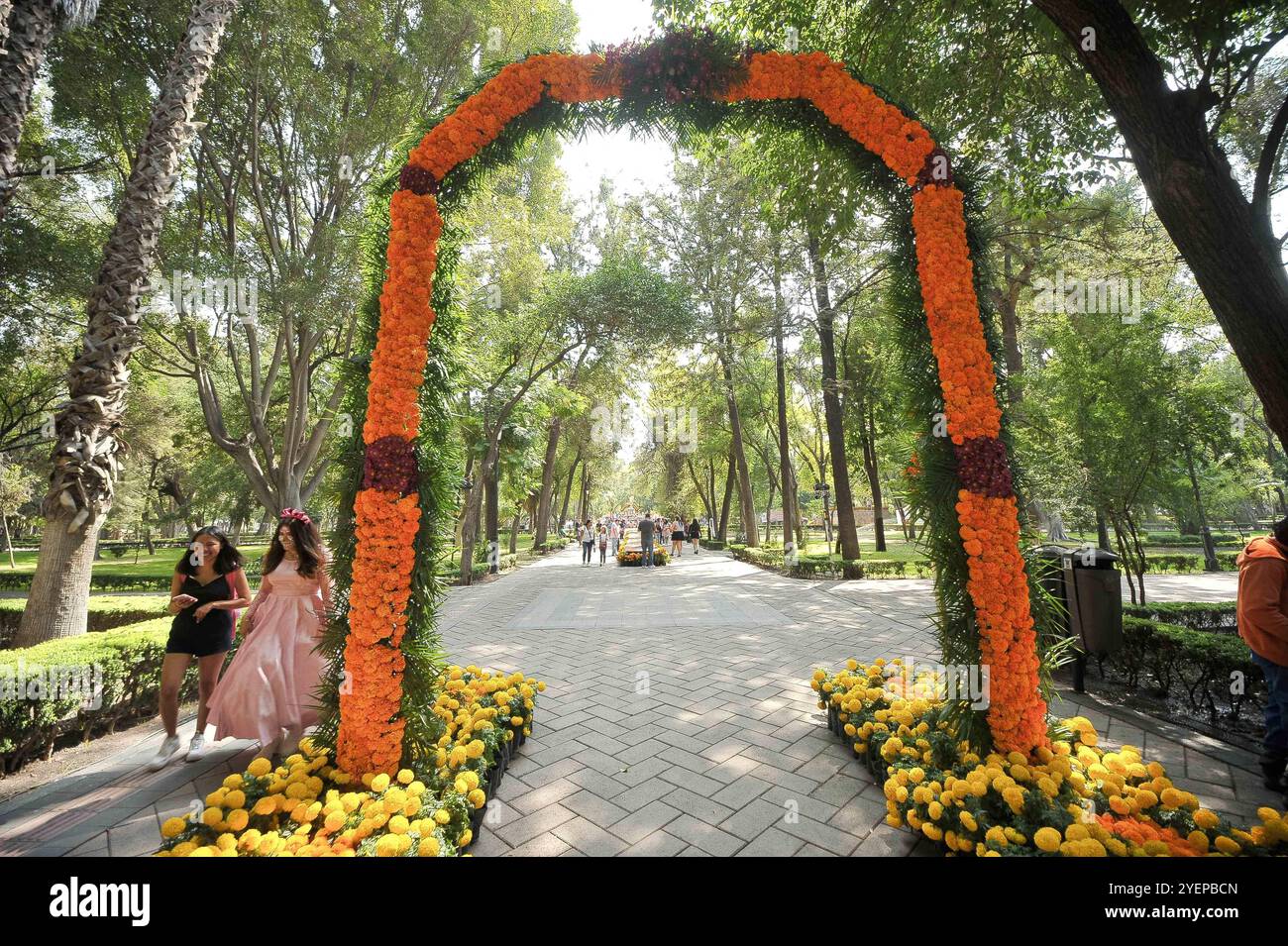 Ofrendas Decorate Streets For Dia de Muertos Celebrations Two young ...