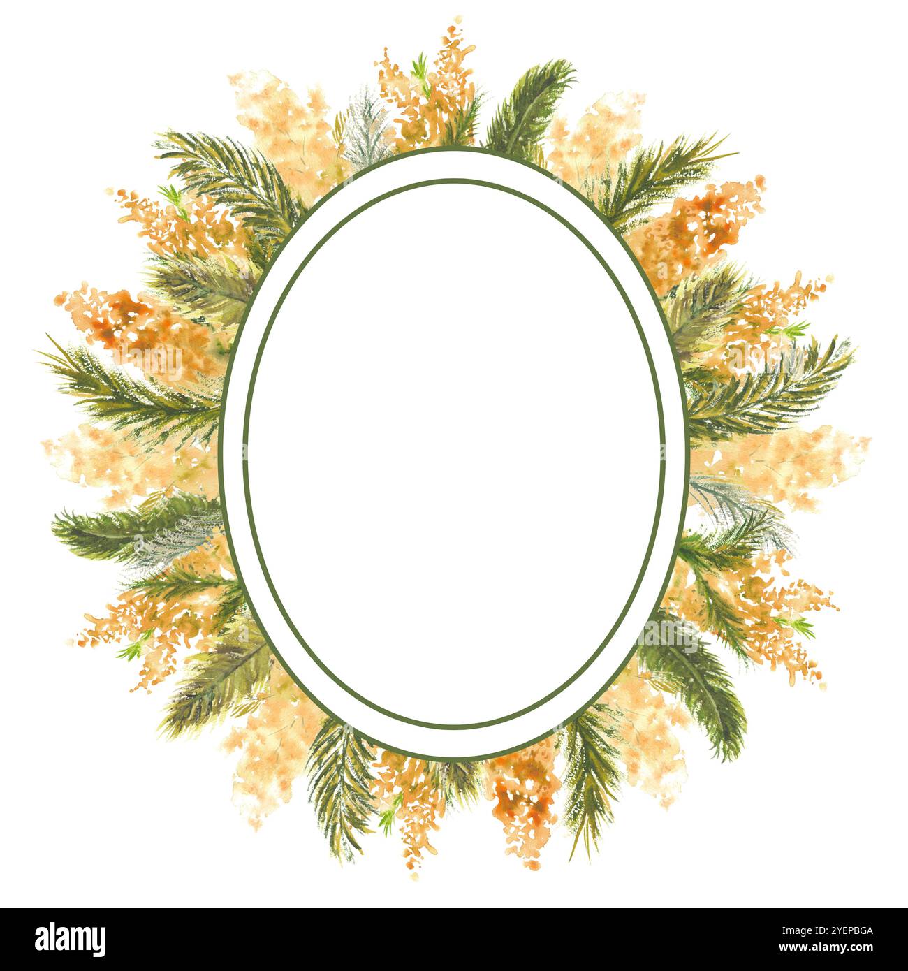 Geometric oval frame with Mimosa branches on the outer edge on a white ...