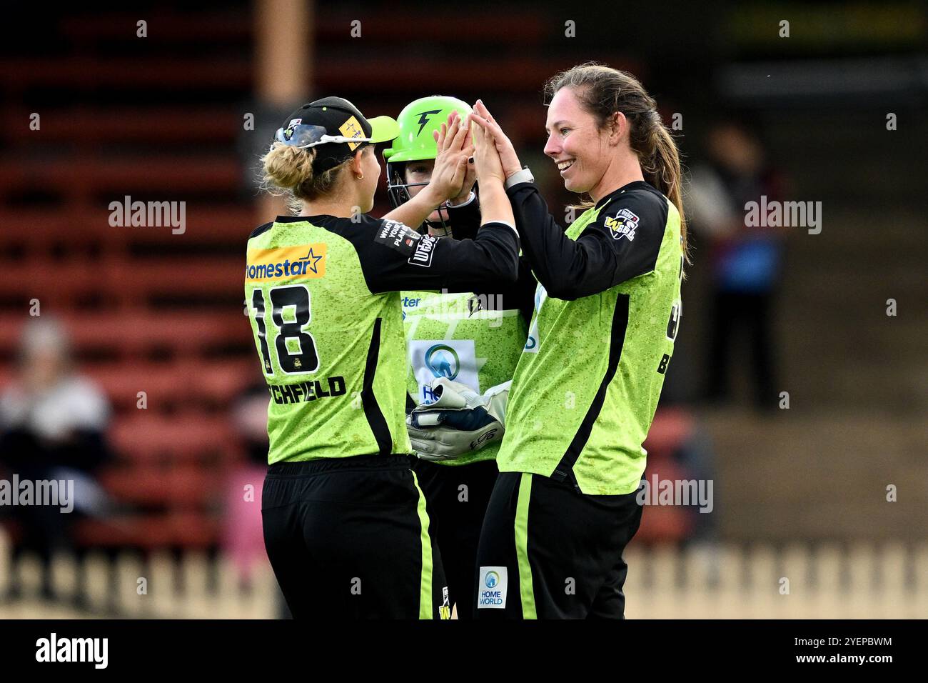 Sydney, Australia. 01st Nov, 2024. Sam Bates of the Thunder (right ...