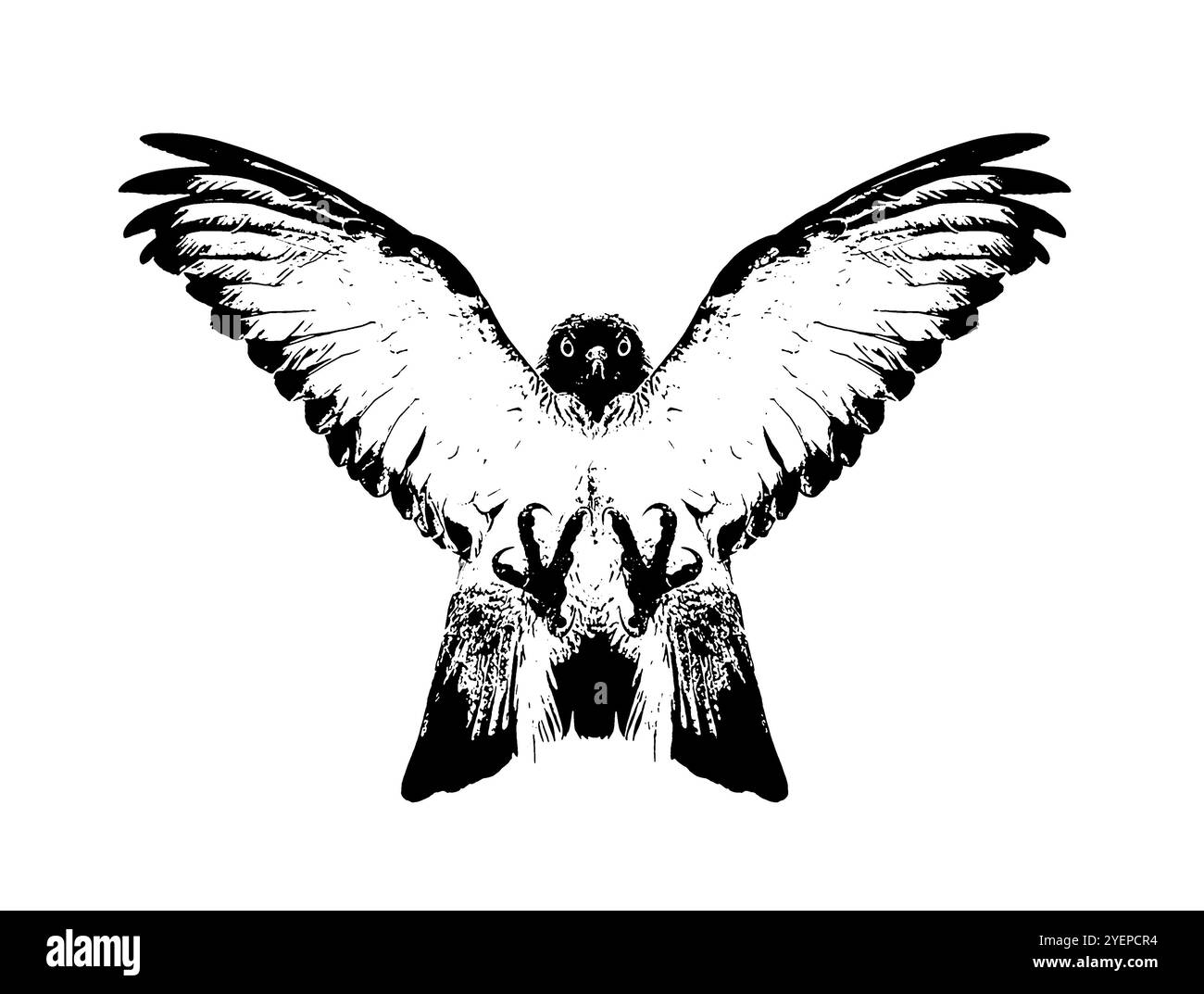 Strong flapping wings Cut Out Stock Images & Pictures - Alamy