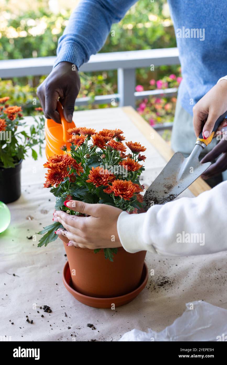 Planting flowers on porch, multiracial couple gardening together ...