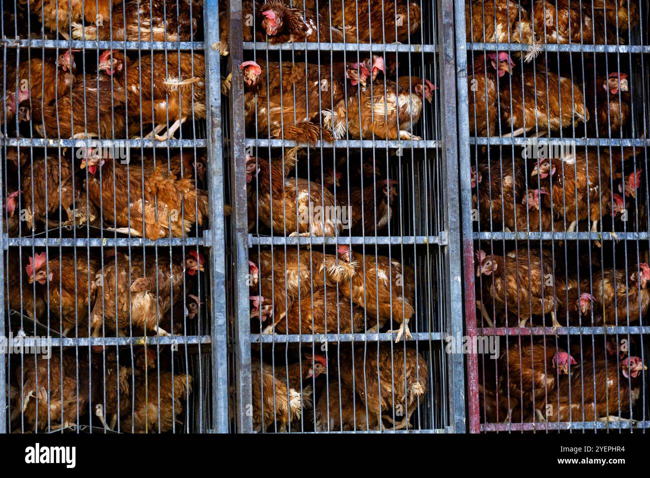 Valencia, Spain. 01st Nov, 2024. DVD 1238 (31/10/24) Efectos de la dana ...