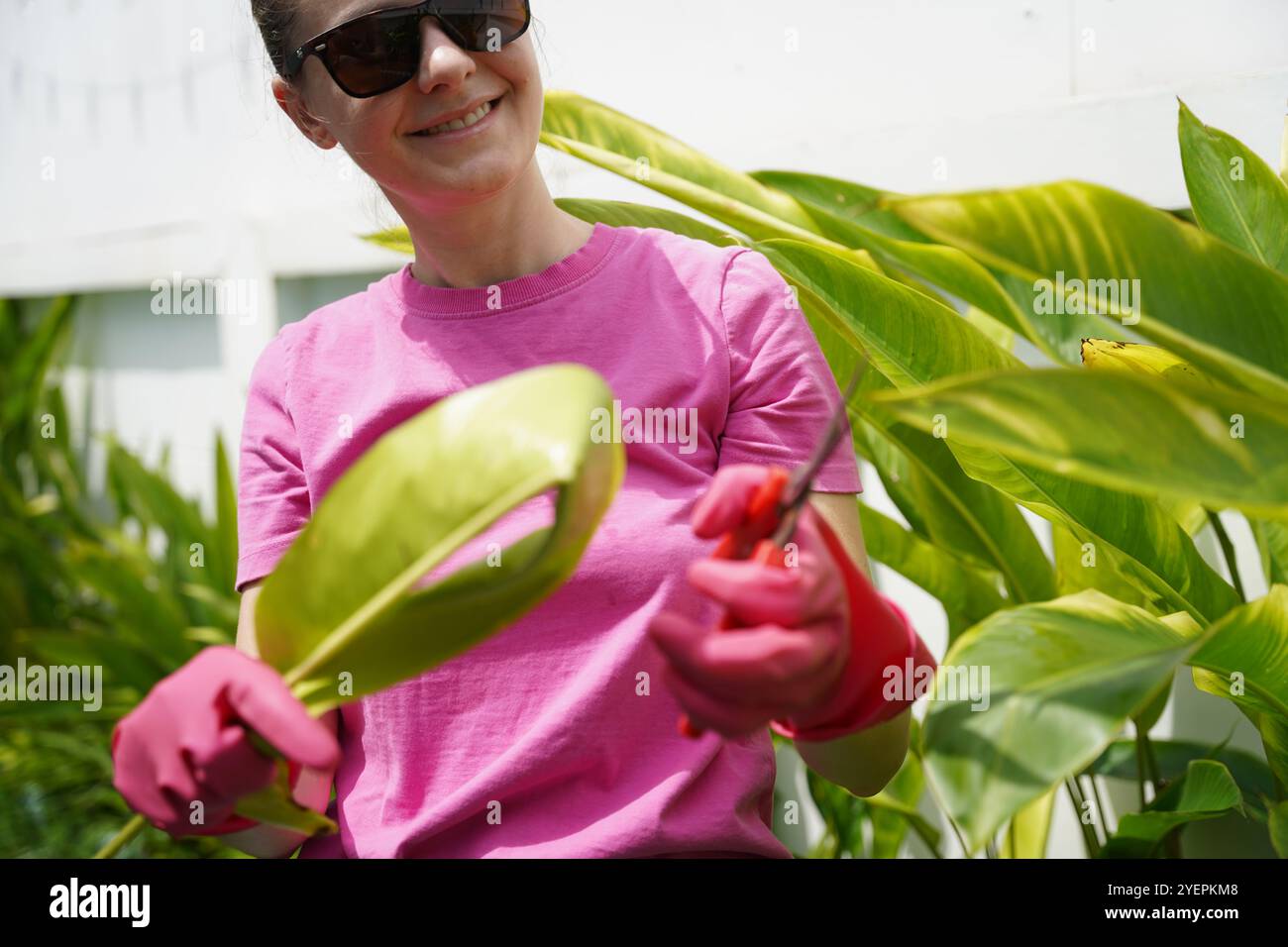 Woman trims lawn hi-res stock photography and images - Alamy