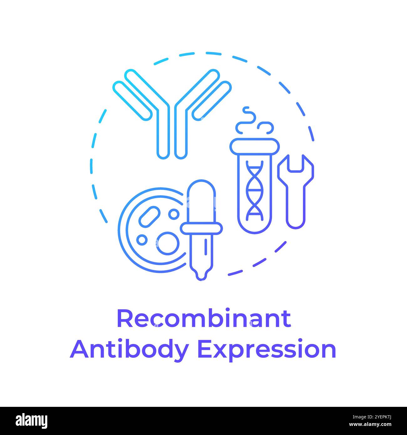 Recombinant protein expression hi-res stock photography and images - Alamy