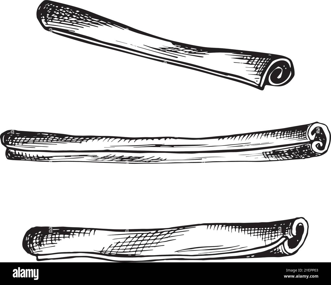 Cinnamon twisted sticks. Set sketches. Vector graphic illustration ...