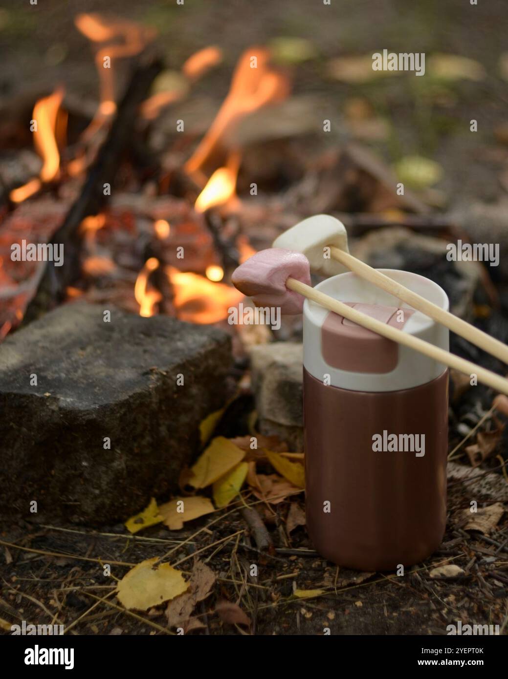 Roasted marshmallows and tea in the thermomug near the fire pit Stock ...