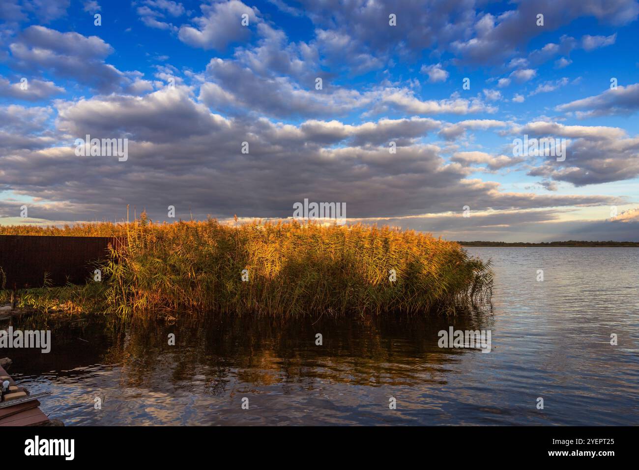 Reeds and open water hi-res stock photography and images - Alamy