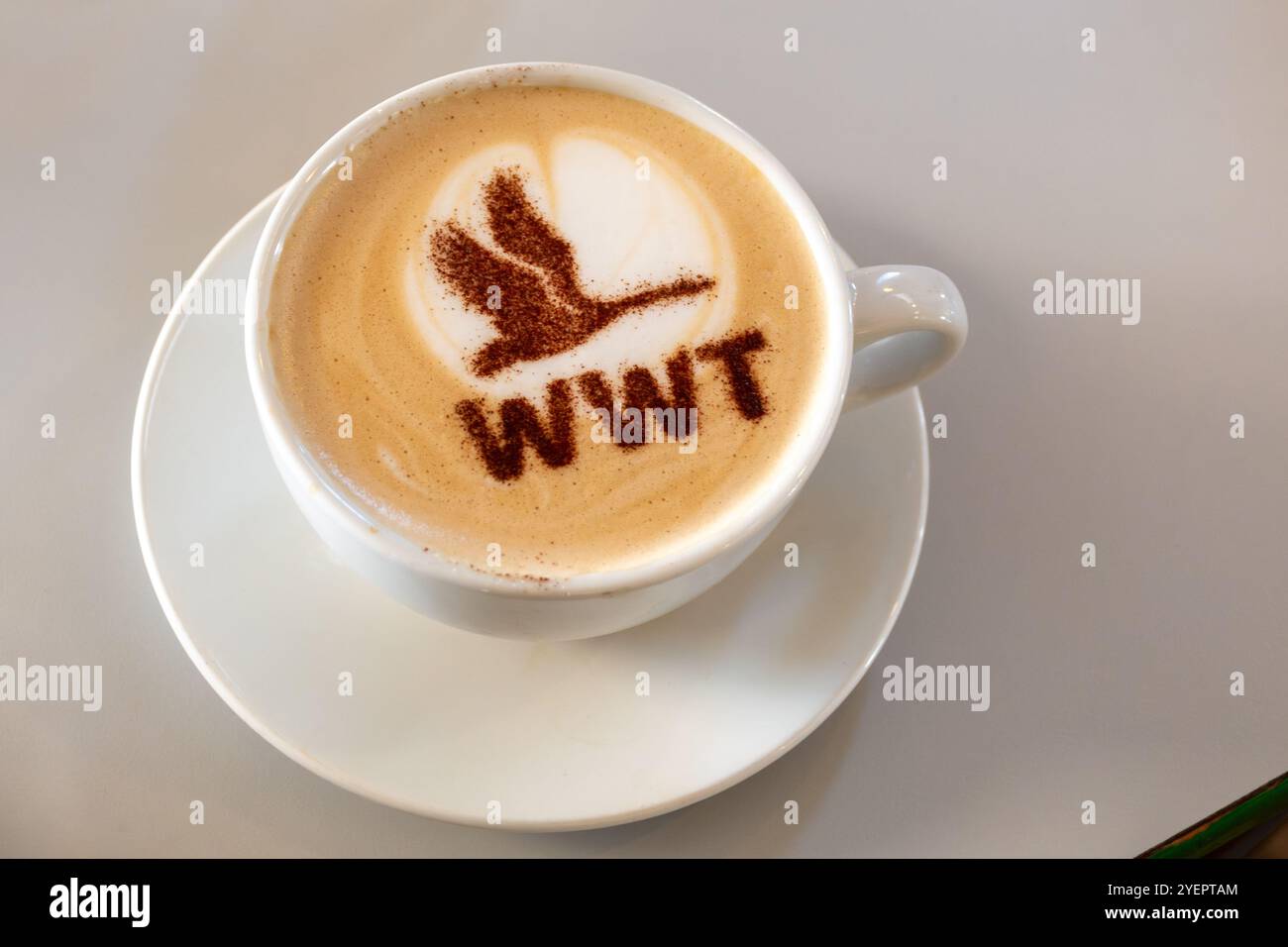 Wwt logo with bewick swan hi-res stock photography and images - Alamy