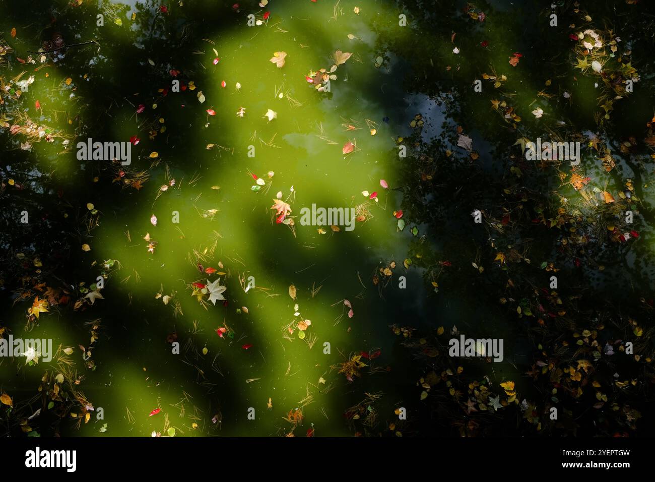 Light dappled water hi-res stock photography and images - Alamy
