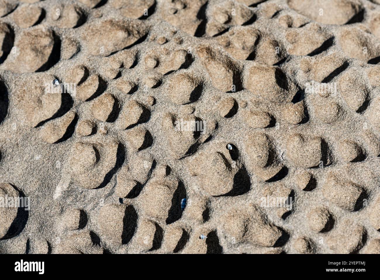 Bumpy surface hi-res stock photography and images - Alamy