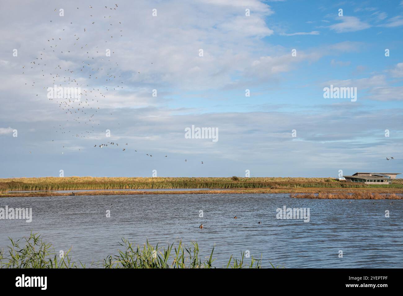 View of RSPB Titchwell Marsh nature reserve in North Norfolk, England ...