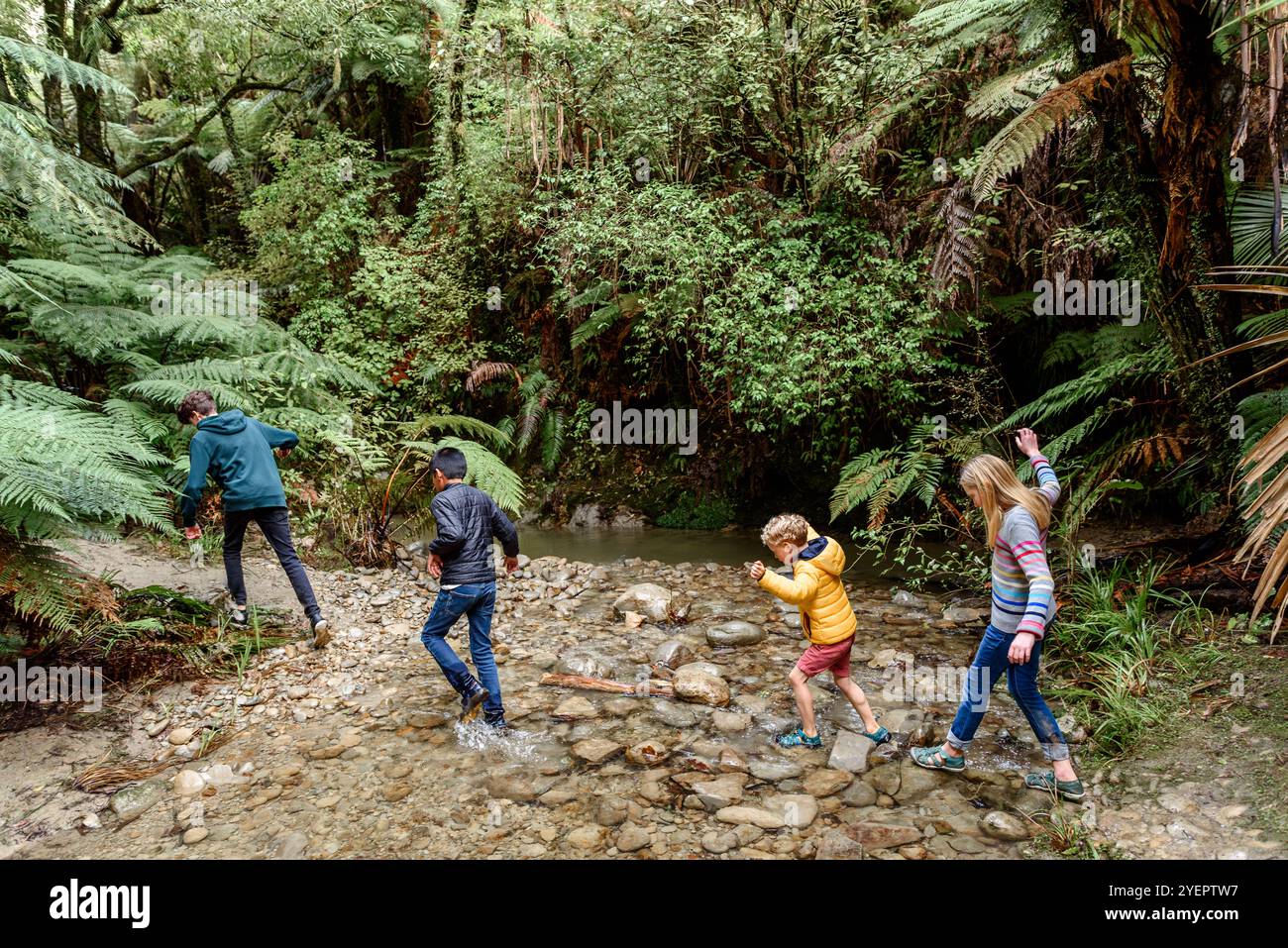 Nature forest explore siblings hi-res stock photography and images - Alamy