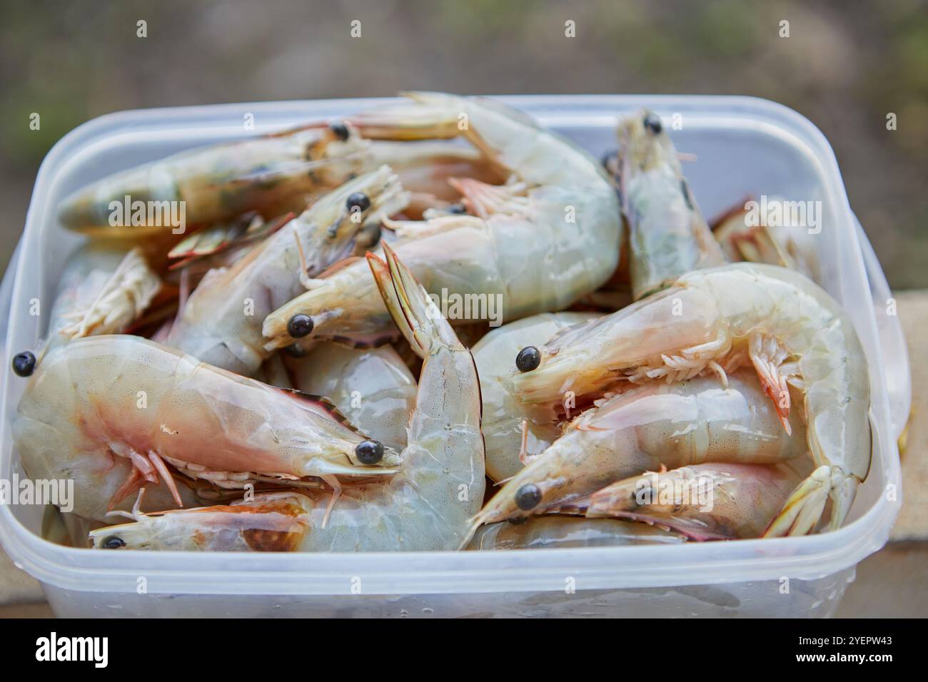 Shrimp food preparation hi-res stock photography and images - Alamy