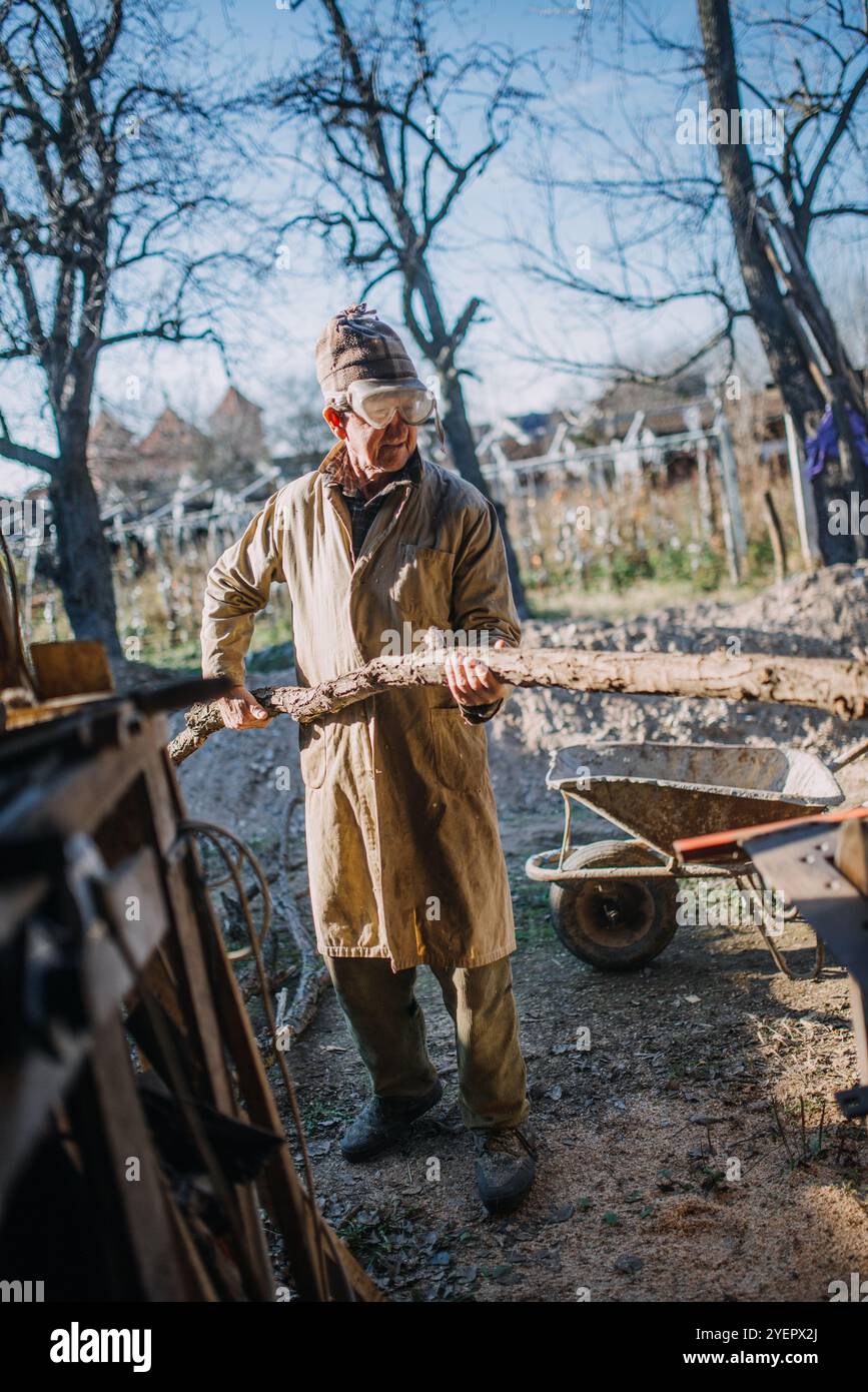 Man carrying tree branch hi-res stock photography and images - Alamy