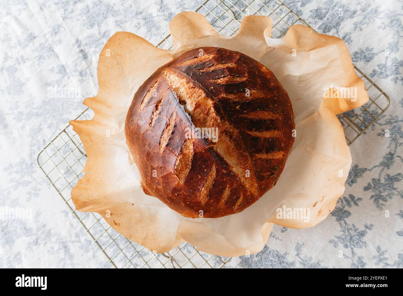 Loaf homemade sourdough yeast hi-res stock photography and images - Alamy
