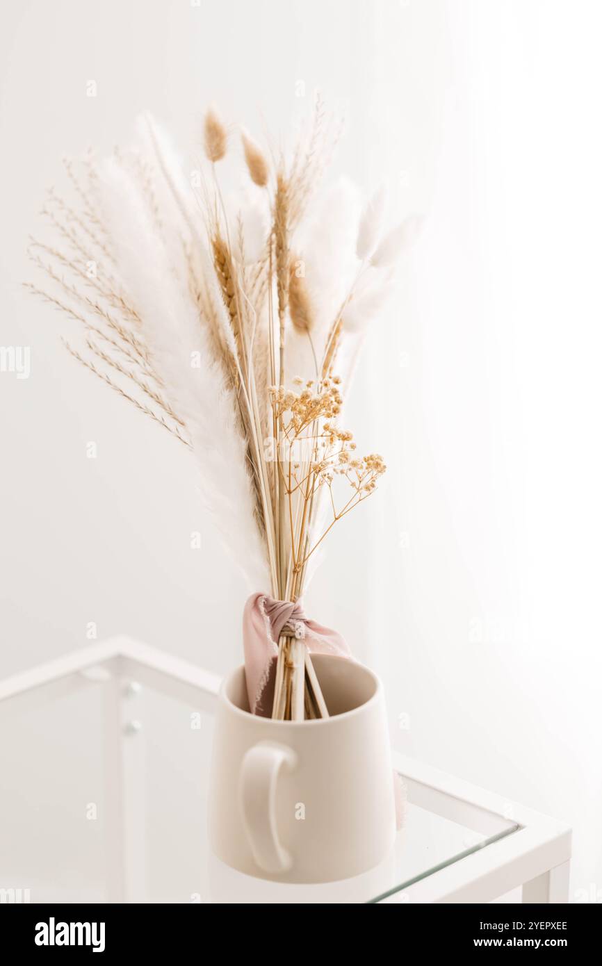 Beige dried bunny tail hi-res stock photography and images - Alamy