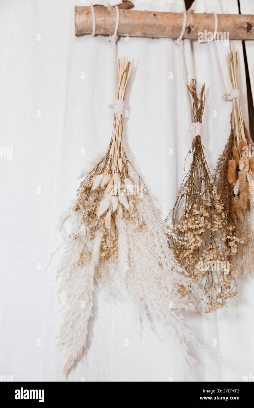 Home pampas grass hi-res stock photography and images - Alamy