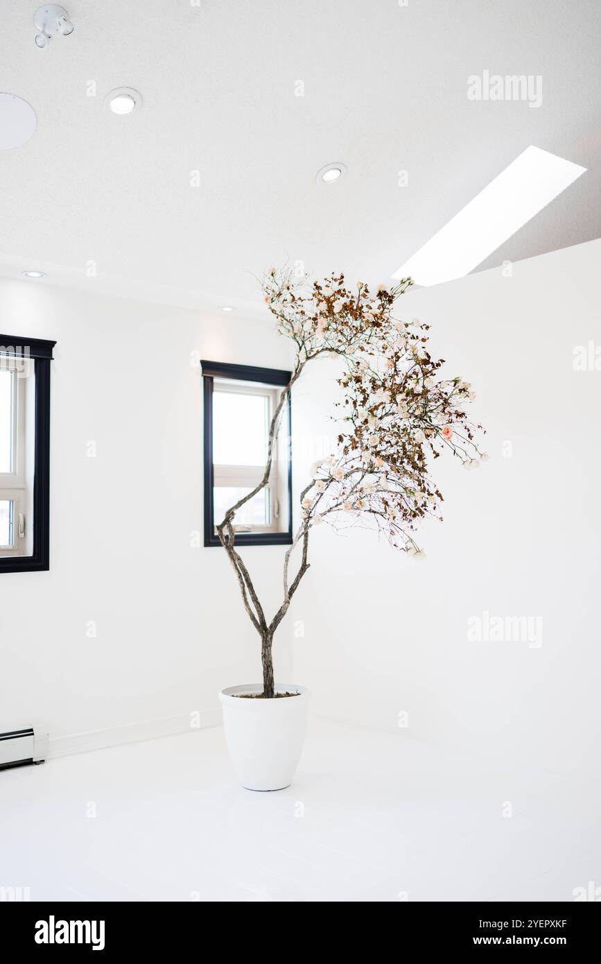 Minimalist floral arrangement hi-res stock photography and images - Alamy