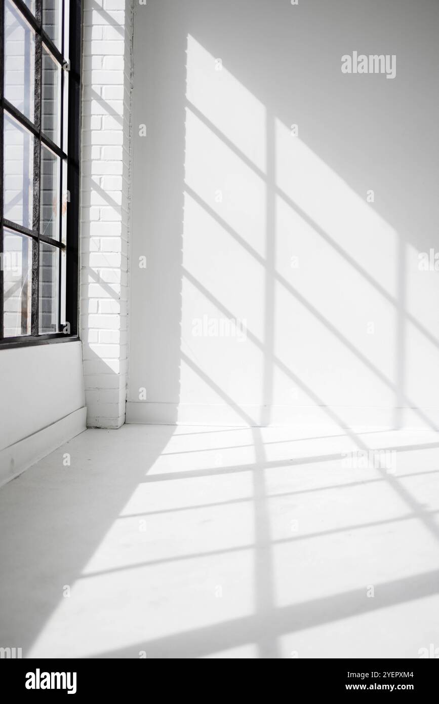Empty Studio Room with Shadows Stock Photo - Alamy