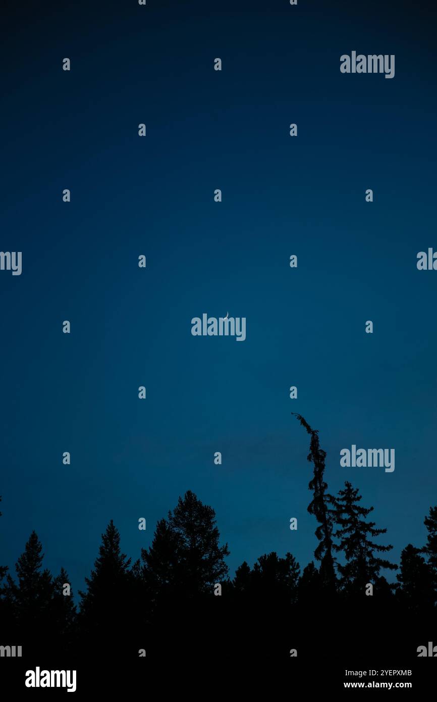 Night twilight in nature hi-res stock photography and images - Alamy