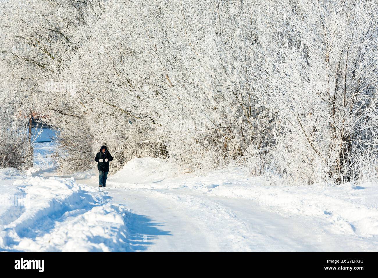 People walk along snowy road hi-res stock photography and images - Alamy