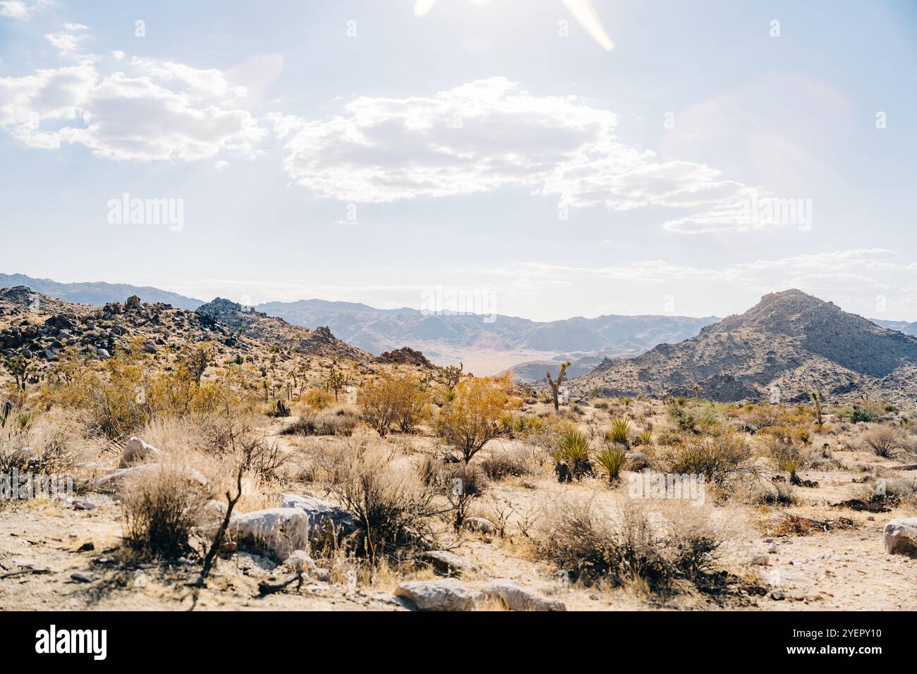 Expansive desert landscape with rocky hills under a bright sky Stock ...