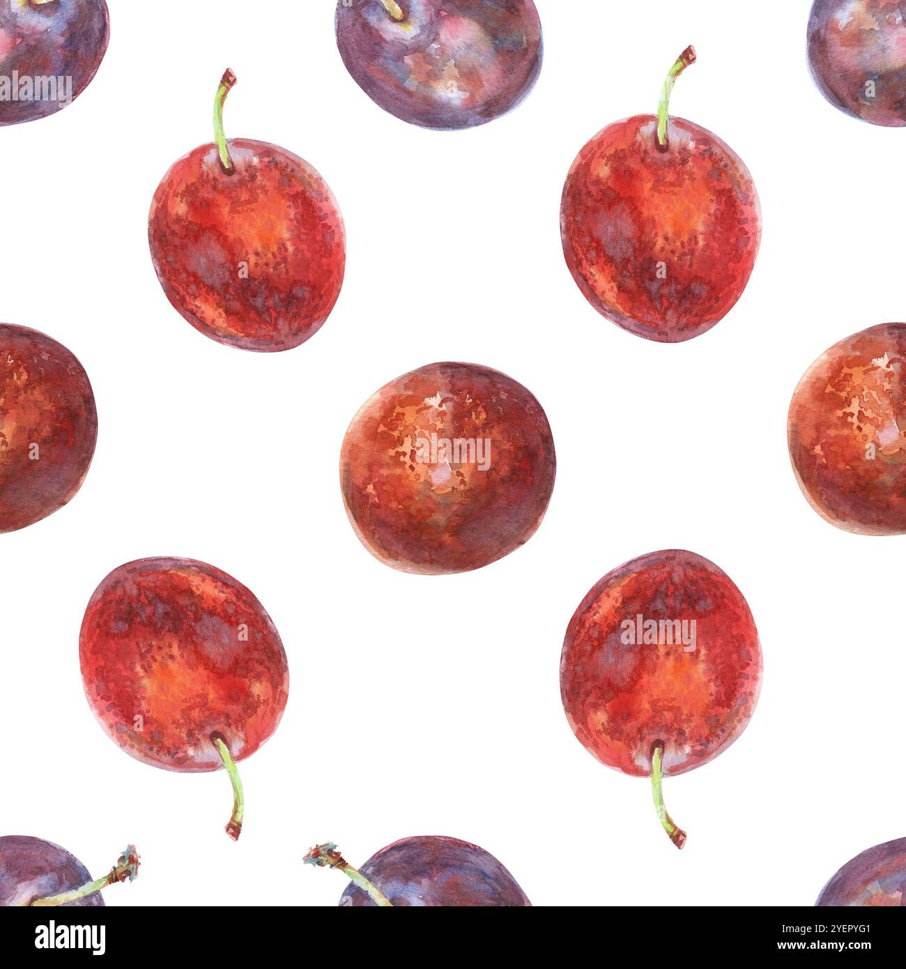 Pattern seamless of plums. Ripe berries on bunches of fruit tree hand ...