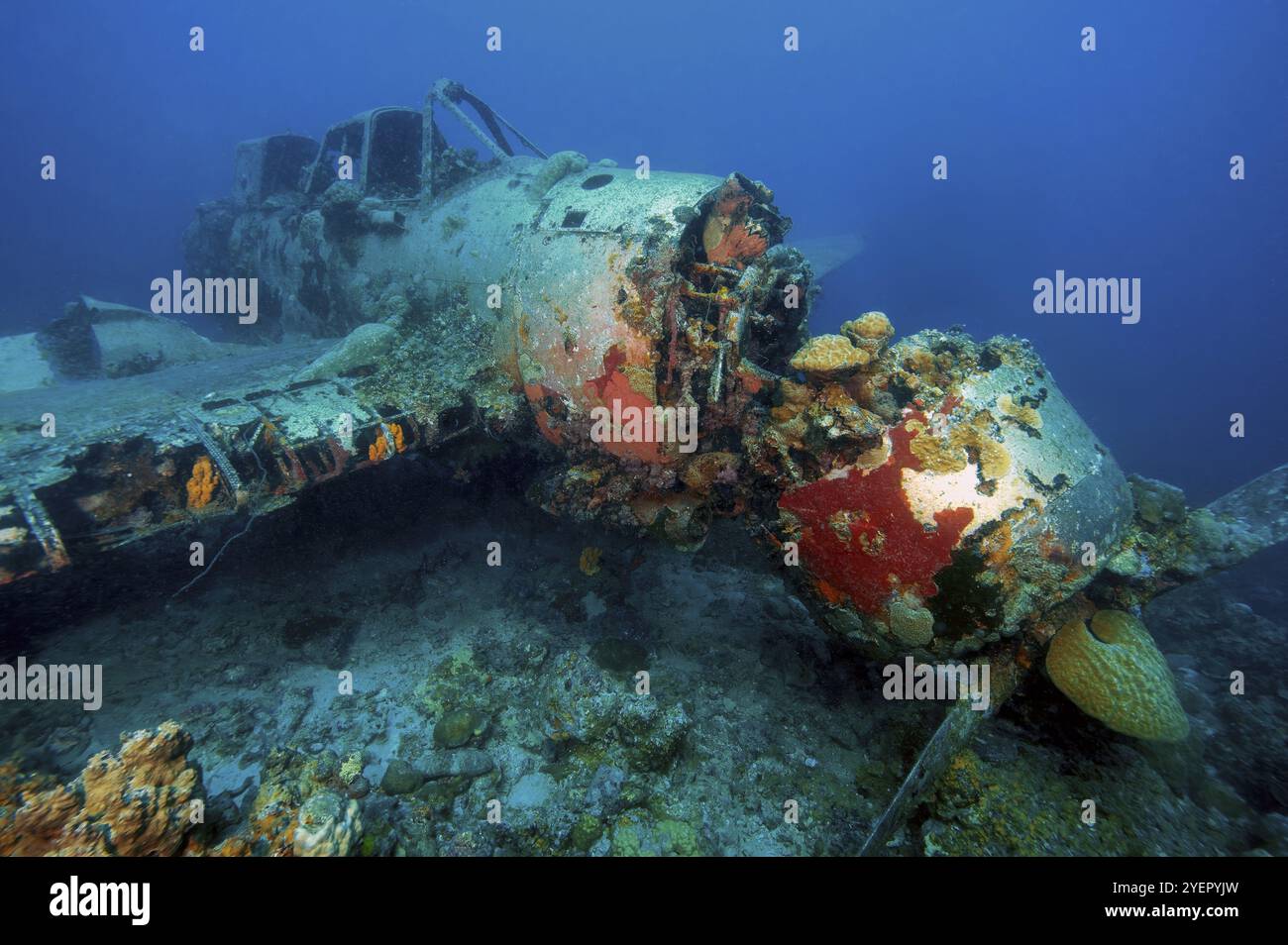 Underwater photo of wreck in WW II sunken Japanese seaplane Aichi E13A1 ...