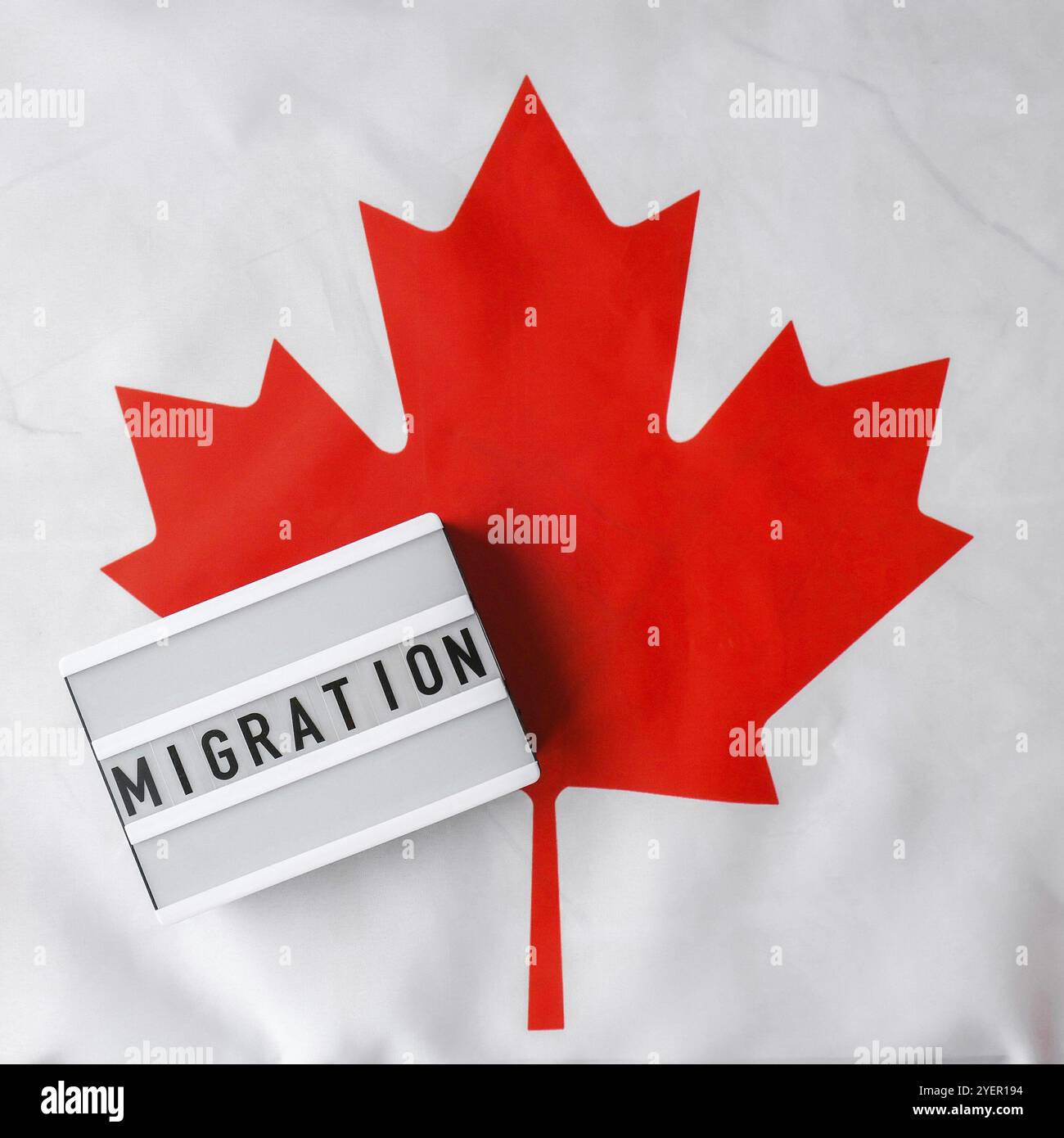 The National Flag of Canada. Lightbox with text MIGRATION Canadian Flag ...