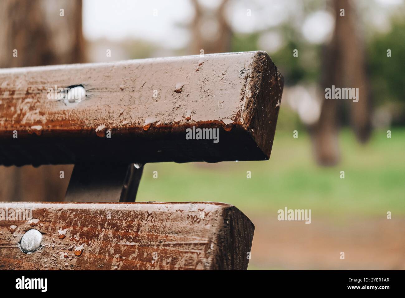 Wet bench in the park in the rain. Rainy weather. Wooden chair in the ...