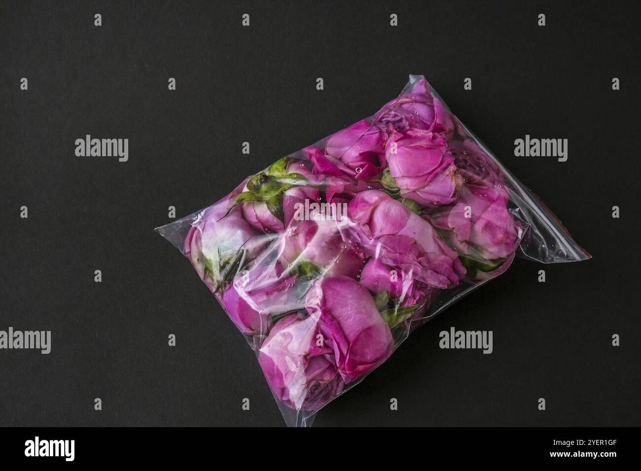 Environmental pollution concept. Flower in a plastic bag. Danger ...