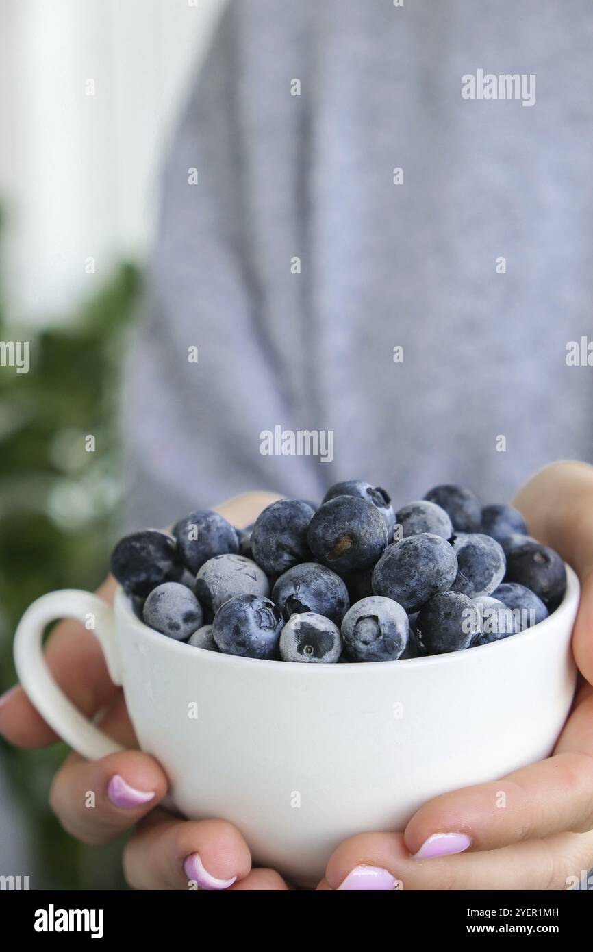Woman holding bowl with Frozen blueberry fruits. Harvesting concept ...