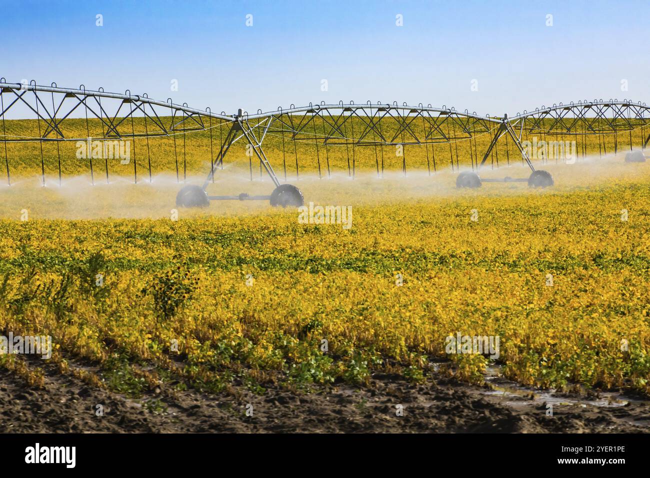 Overhead irrigation system sprinkler hi-res stock photography and ...